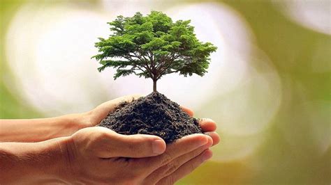 聖經希伯來文教導：一粒小種子終將成為大樹 耶路撒冷全球華人敬拜中心