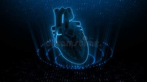 Pacemaker Cells Stock Illustrations 9 Pacemaker Cells Stock