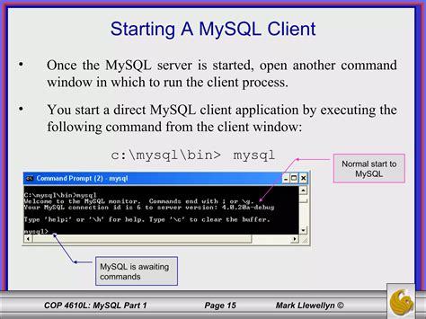 Introduction To Mysql Part 1 Ppt Databases Computer Software