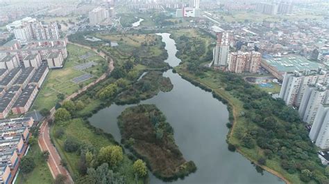 Bogotá Tendrá 19 Bosques Urbanos Por Decisión Del Concejo Infobae