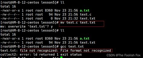 【linux修炼手册：基本指令（完结）】 Csdn博客