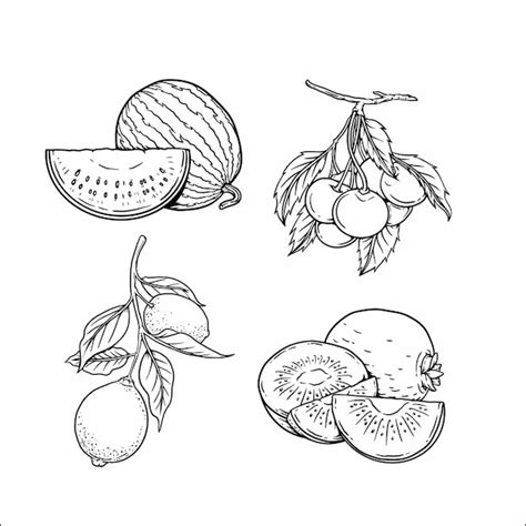 Premium Vector Fruit Drawing 173