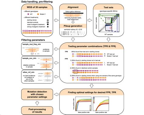 An Overview Of The Testing And Optimisation Of The Mutation Detection
