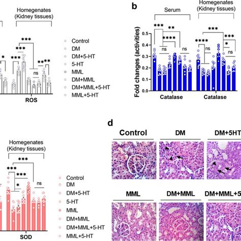 Ahi Using 2018 Adaeasd Classification Of Hypoglycemia Download