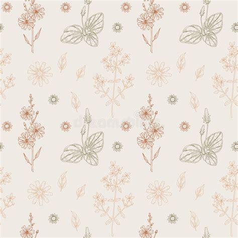 Aesthetic Botany Stock Illustrations 2051 Aesthetic Botany Stock