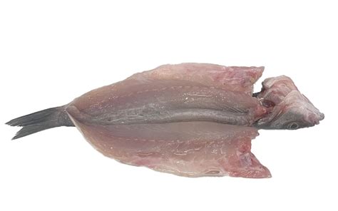 All Seafood Wholesale Products Netuno Usa Seafood Wholesale