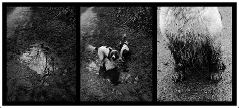 Narrative Photography Examples