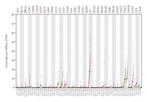 A Gene Expression Profiling Interactive Analysis Gepia Data Showing Download Scientific