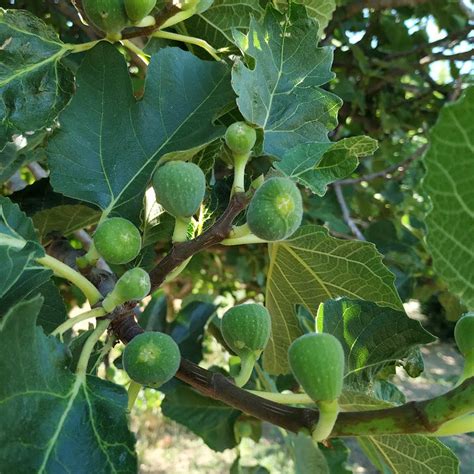 Aritza Iriarte Garmendia Youtube