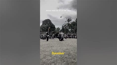 Djember Dg Tradisinya Youtube