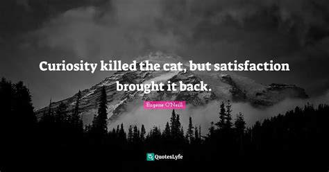 Curiosity Killed The Cat But Satisfaction Brought It Back Quote By