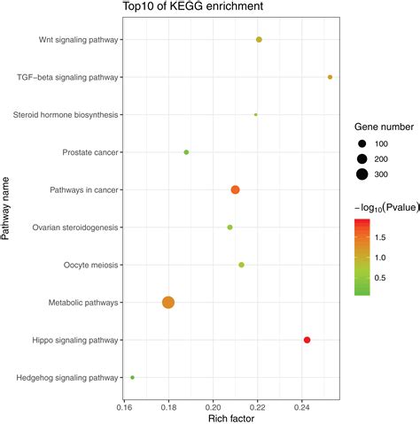 Transcriptome Sequencing And Comparative Analysis Of Adult Ovary And