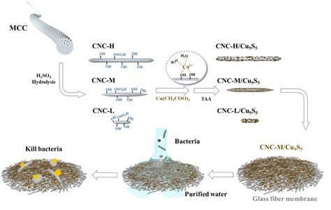 Cellulose Nanocrystals For Environmental Cleanup Part 2