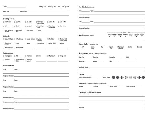 Printable Navigating Gaps Daily Journal Pdf • Body Wisdom Nutrition