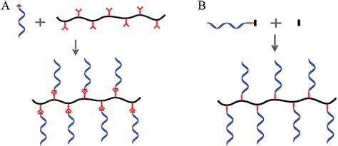 Nucleic Acid Polymer