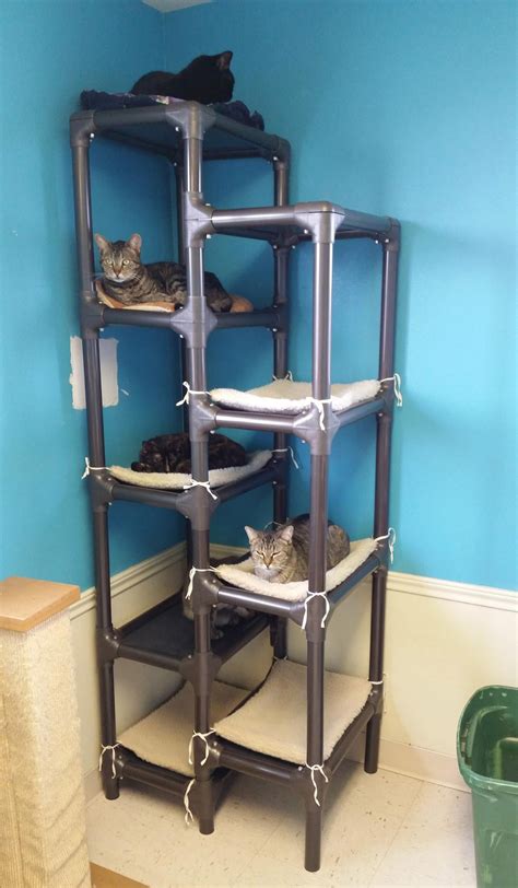 Pvc Pipe Cat Tower Diy Cat Enclosure Pvc