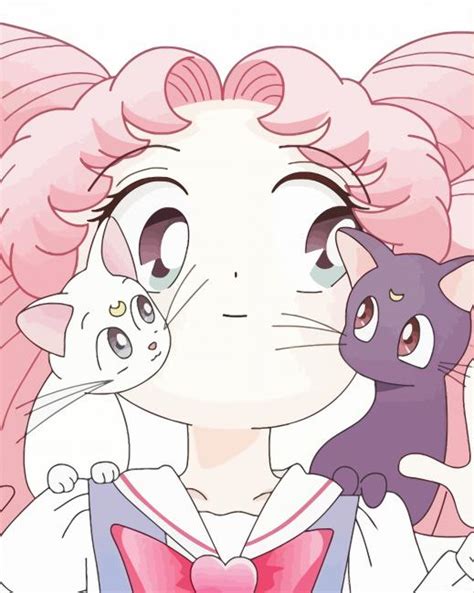 Chibiusa With Cats Paint By Numbers Paintings By Numbers
