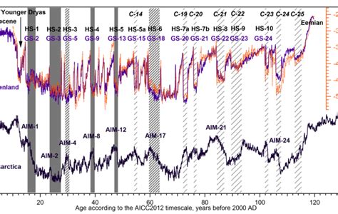 Polymer Deciphering Its Definition And Greek Roots U Speak Greek