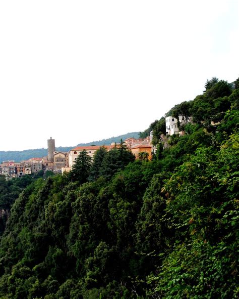 Nemi By Julie Xxx On Deviantart