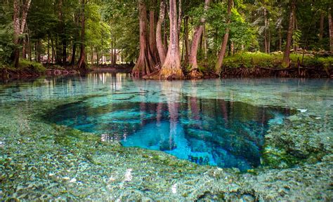 Mysteries Of Floridas Devils Eye Touristsecrets