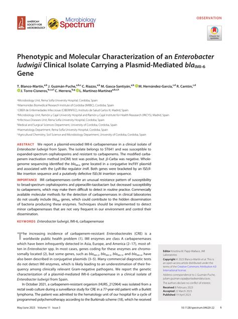 Pdf Phenotypic And Molecular Characterization Of An Enterobacter