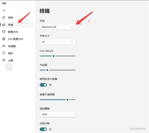 Windows 终端美化方案：fluent Terminal Oh My Posh本文正在参加「金石计划 瓜分6 掘金
