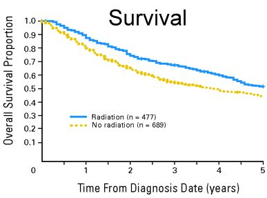 Merkel Cell And Radiation
