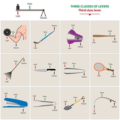 Lever Systems Examples