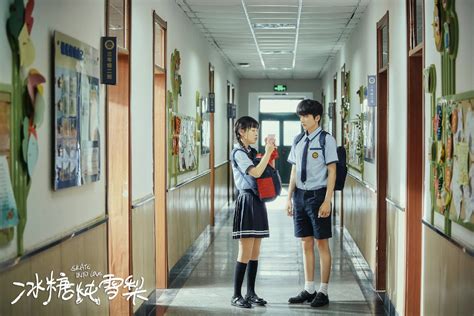 The 15 Best Chinese School Dramas You Should Not Miss In 2026
