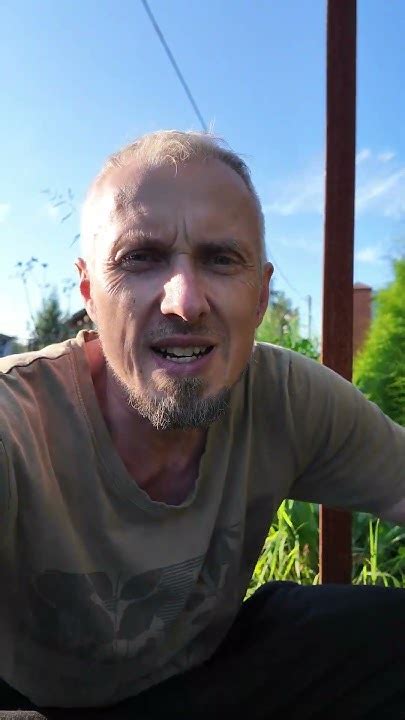 Засыхают ветки на туях Youtube