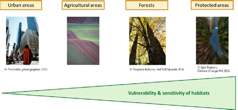 2 Illustrative Context Indicating The Vulnerability As Well As Download Scientific Diagram