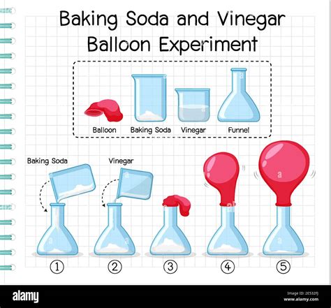 Baking Soda And Vinegar Experiment Stock Vector Images Alamy