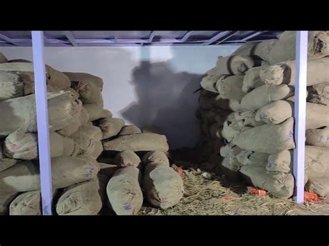 Grass Brooms Cnc Plus Grass Broom Trader Wholesaler Distributor