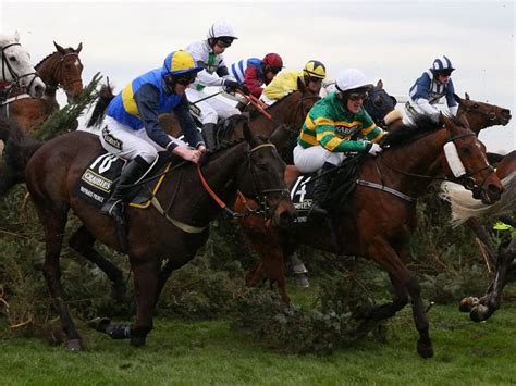 Grand National 2015 Betting Tips How To Pick A Winner Based On