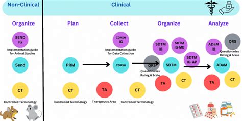 Clinical Sas Cdisc Sdtm Adam By Avinaba Mukherjee Medium