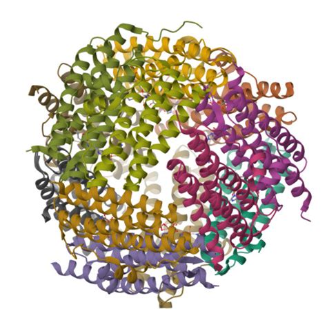 Rcsb Pdb 2yjj Structure Of Dps From Microbacterium Arborescens In