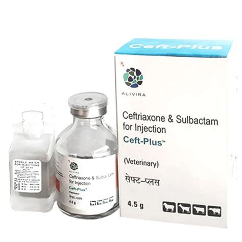 Ceft Plus Injection Ultimate Dual Action Antibiotic For Resistant Bacterial Infections Kama