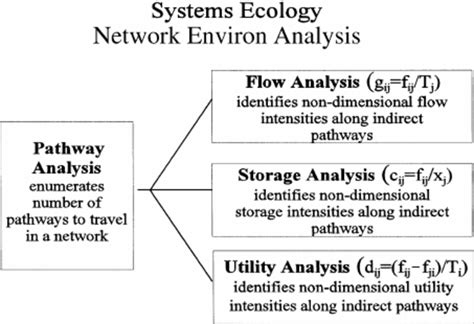 Diagram Of Systems Ecology Network Analysis The Structural Path Download Scientific Diagram