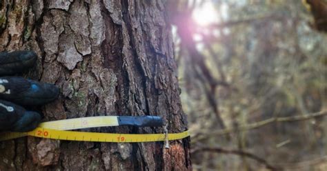 Rep Tom Reed Celebrates 65 Years With Forecon Forecon Inc