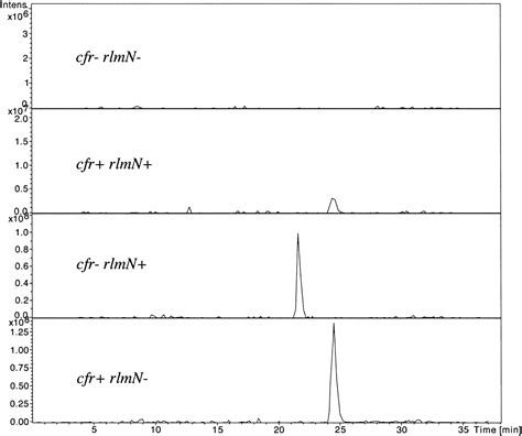 Identification Of 8 Methyladenosine As The Modification Catalyzed By