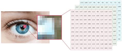 Numpy的介绍与基本使用方法 tomjoy 博客园