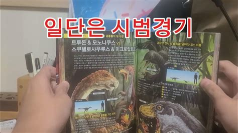 최강공룡왕 팀배틀 Youtube