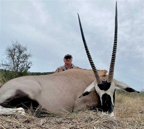 Texas Exotic Hunting Trophy Gallery Hunt Exotics In Tx Nocona Ranch