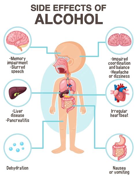 Premium Vector Human Anatomy Diagram Cartoon Style Of Alcohol Side Effects