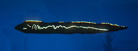 Ark Genesis Guide Eine Aufregende Simulation Nitrado