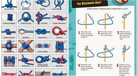 Scouts Bsa Knots At Finn Coates Blog