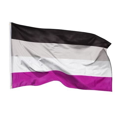 Comprar Bandera Asexual En Las Medidas 90 X 150 Cm Order Coloured
