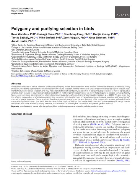Pdf Polygamy And Purifying Selection In Birds
