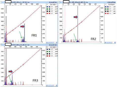B Cell Clonality Determination Using The Polymerase Chain Reaction Download Scientific Diagram