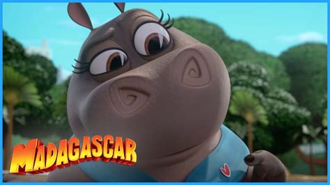 Madagascar 3 Hippo